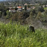 Murphy Ranch Trail , California - 1,440 Reviews, Map | AllTrails