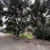 Murphy Ranch Trail , California - 1,440 Reviews, Map | AllTrails