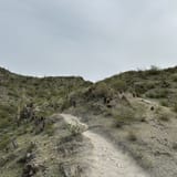 Ruth Hamilton Trail, Arizona - 2,724 Reviews, Map | AllTrails