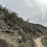 Ruth Hamilton Trail, Arizona - 2,724 Reviews, Map | AllTrails