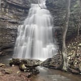 Denny Cove Waterfall Trail , Tennessee - 1,074 Reviews, Map | AllTrails