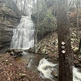 Denny Cove Waterfall Trail , Tennessee - 1,074 Reviews, Map | AllTrails