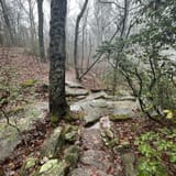Denny Cove Waterfall Trail , Tennessee - 1,074 Reviews, Map | AllTrails