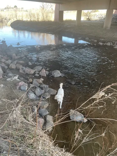 Best Hikes and Trails in Waverly Park | AllTrails