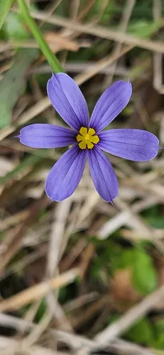 Best Long Trails in Green Swamp Wildlife Management Area | AllTrails