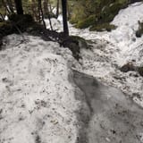 Hedgehog Mountain and Rooster Comb via Wedge Brook Trail Loop , New ...