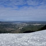 Poo Poo Point Trail, Washington - 6,160 Reviews, Map | AllTrails