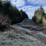 Poo Poo Point Trail, Washington - 6,160 Reviews, Map | AllTrails