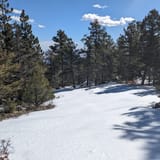 Stultz Trail, Colorado - 121 Reviews, Map | AllTrails