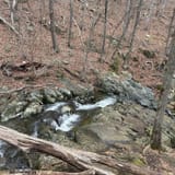 Rose River Trail, Virginia - 4,418 Reviews, Map | AllTrails