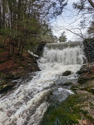 Best Hikes and Trails in Cook's Canyon Wildlife Sanctuary | AllTrails