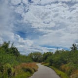 Brevard Zoo Linear Park Trail, Florida - 831 Reviews, Map | AllTrails