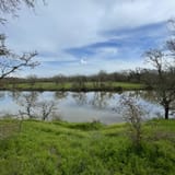 The Meadows Slough Trail, California - 393 Reviews, Map | AllTrails