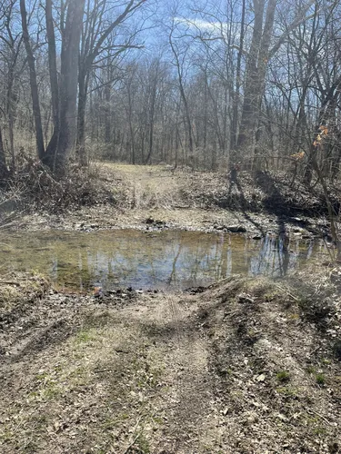 Best Hikes and Trails in William R Logan Conservation Area | AllTrails