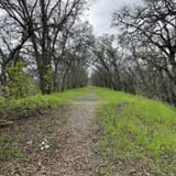 The Meadows Slough Trail, California - 393 Reviews, Map | AllTrails