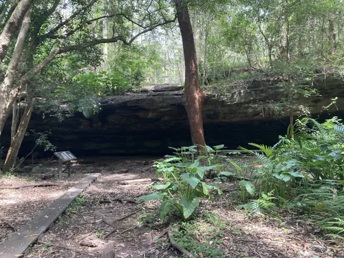 Best Hikes and Trails in Meroo National Park | AllTrails