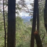 Clatsop Loop Trail from Indian Beach, Oregon - 2,562 Reviews, Map ...