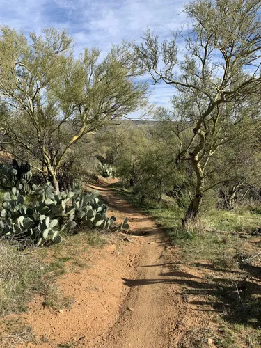 Best Hikes and Trails in Bumble Bee Ranch | AllTrails