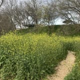 Cibolo Creek Main Trail, Texas - 667 Reviews, Map | AllTrails