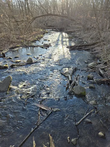 Best Hikes and Trails in Seidman Park | AllTrails