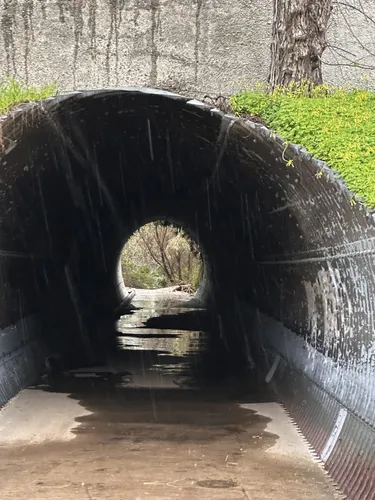 Best Hikes and Trails in Brea Dam Recreation Area | AllTrails