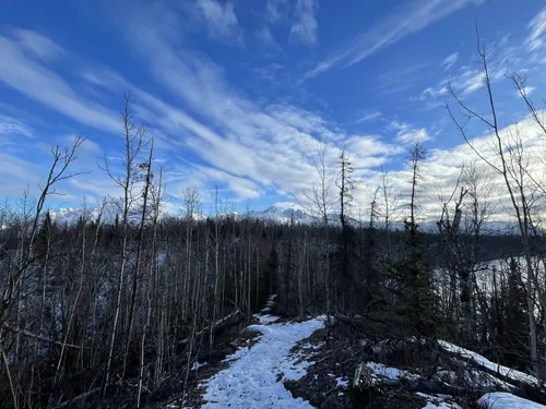 Best Hikes and Trails in Matanuska Lakes State Recreation Area | AllTrails