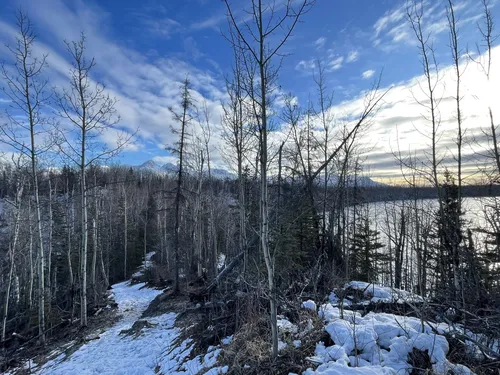 Best Hikes and Trails in Matanuska Lakes State Recreation Area | AllTrails
