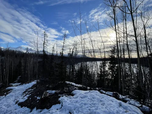 Best Hikes and Trails in Matanuska Lakes State Recreation Area | AllTrails