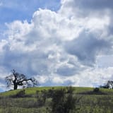 Redtail Loop to Arastradero Creek Loop, California - 1,868 Reviews, Map ...