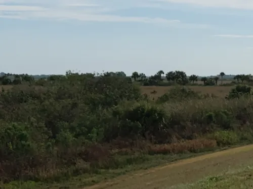 Best Hikes and Trails in Three Forks Conservation Area | AllTrails