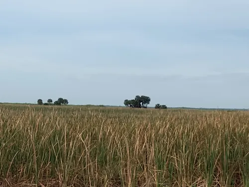 Best Hikes and Trails in Three Forks Conservation Area | AllTrails