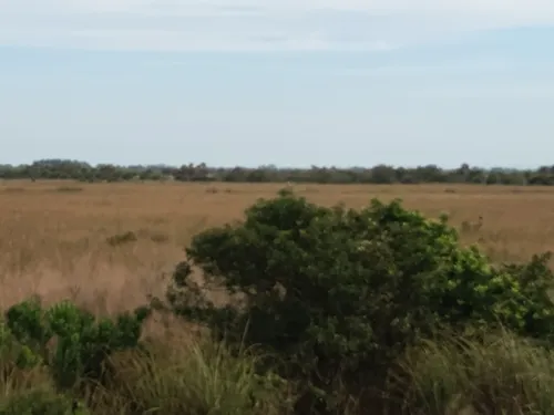 Best Hikes and Trails in Three Forks Conservation Area | AllTrails