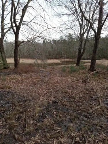 Best Hikes and Trails in Segerstrom Preserve | AllTrails