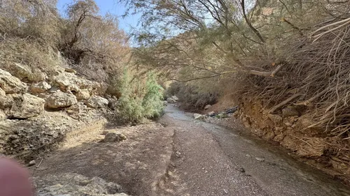 Best Hikes and Trails in Midbar Yehuda Nature Reserve | AllTrails