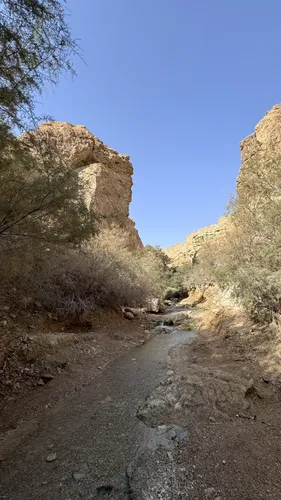 Best Hikes and Trails in Midbar Yehuda Nature Reserve | AllTrails