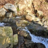 Turkey Run Potomac Heritage Trail, Virginia - 1,389 Reviews, Map ...