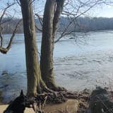 Turkey Run Potomac Heritage Trail, Virginia - 1,389 Reviews, Map ...
