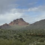 Coon Bluff Trail, Arizona - 775 Reviews, Map | AllTrails