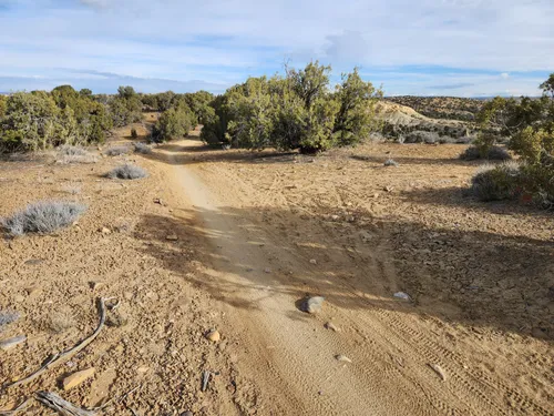 Best Moderate Trails in Glade Run Recreation Area | AllTrails