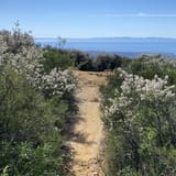 Inspiration Point, California - 3,624 Reviews, Map | AllTrails