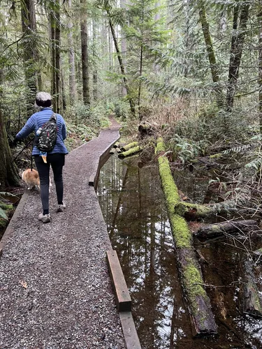 Best Hikes and Trails in Banner Forest Heritage Park | AllTrails