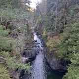 Englishman River Falls Trail, British Columbia, Canada - 1,407 Reviews ...