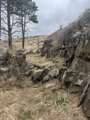 Best Wheelchair Friendly Trails in Bobcat Ridge Natural Area | AllTrails