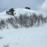 Big Beacon Mount Wire Trail, Utah - 1,523 Reviews, Map | AllTrails
