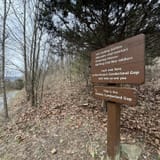 Tri-State Peak Trail, Tennessee - 947 Reviews, Map | AllTrails
