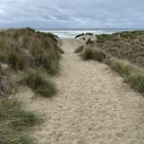 Kehoe Beach Trail, California - 337 Reviews, Map | AllTrails