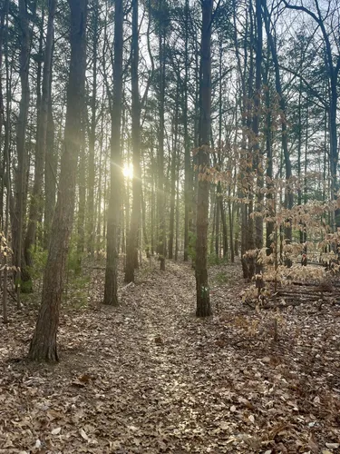 Best Hikes and Trails in The Nature Center at Hemlock Crossing | AllTrails