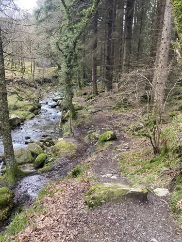 Best Camping Trails in Rathdrum | AllTrails