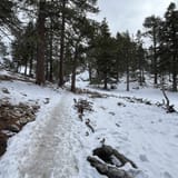 Desert View Trail, California - 1,620 Reviews, Map | AllTrails