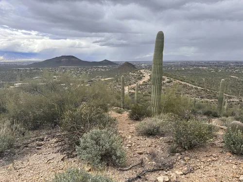 Best Hikes and Trails in Enchanted Hills Park | AllTrails